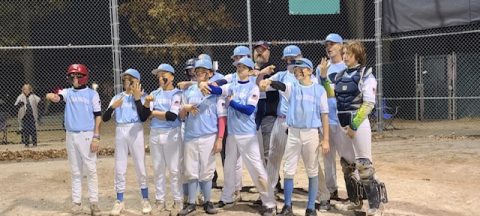 Baseball – THE WYAA
